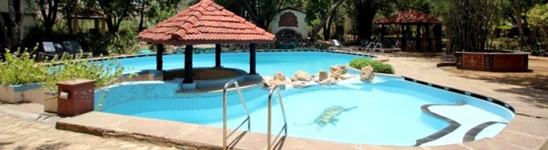 Tiger Moon Resort Ranthambore | Book Stay @ Best Price